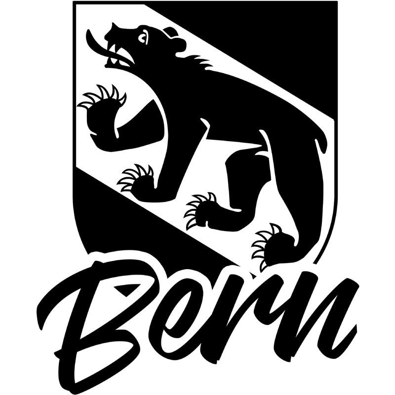 Kanton Bern Logo